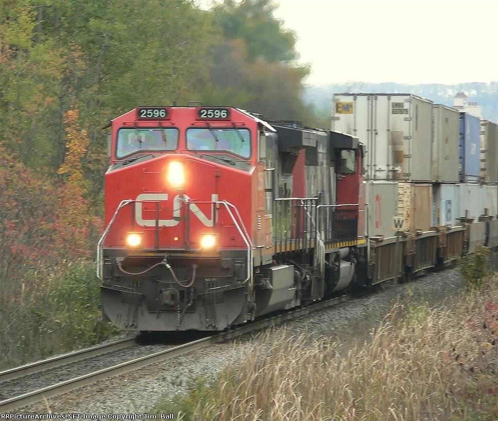 CN 2596